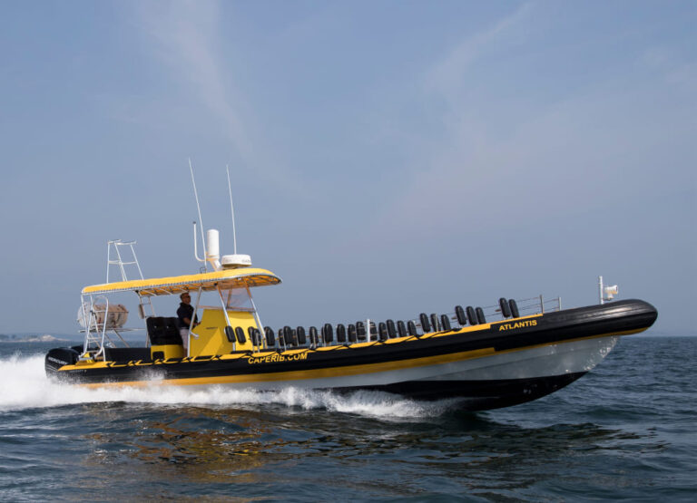 Military – Professional Grade RIBs